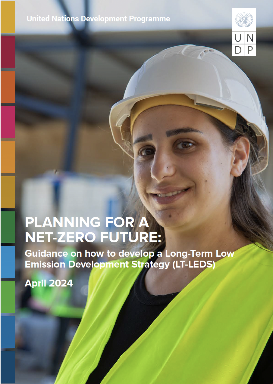 Planning for a net-zero future: Guidance on how to develop a Long-Term Low Emission Development ...